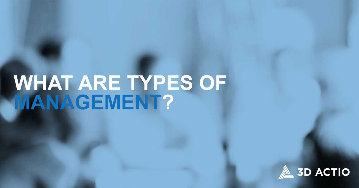 What Are Types of Management? // 3D Actio